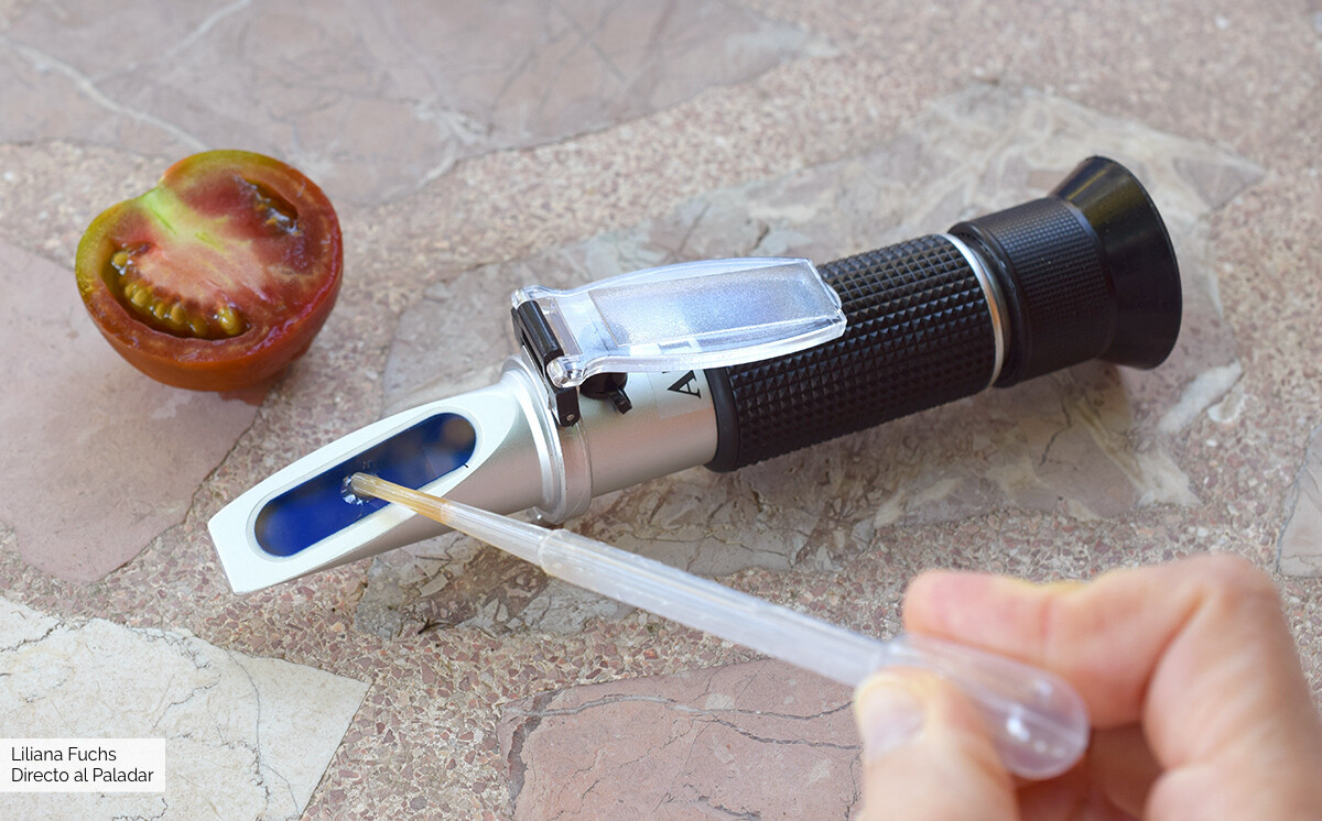 Qué son los grados Brix y cómo nos ayudan a saber el azúcar que tienen ...