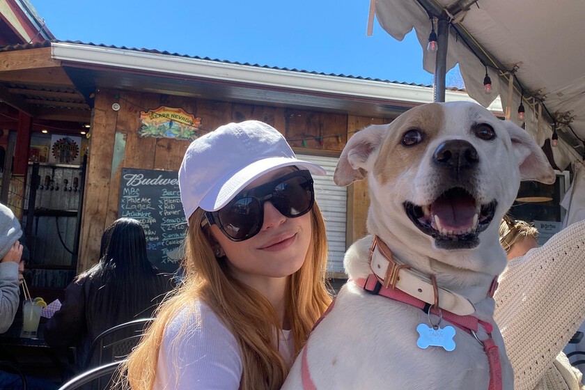 Tengo perro y no sabía que podían multarme con tanto dinero por no ...