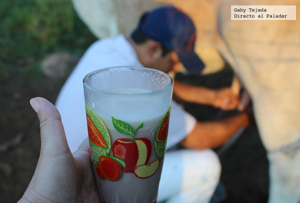 Cuarta parte. Bebidas tradicionales mexicanas que tumban... suavecito