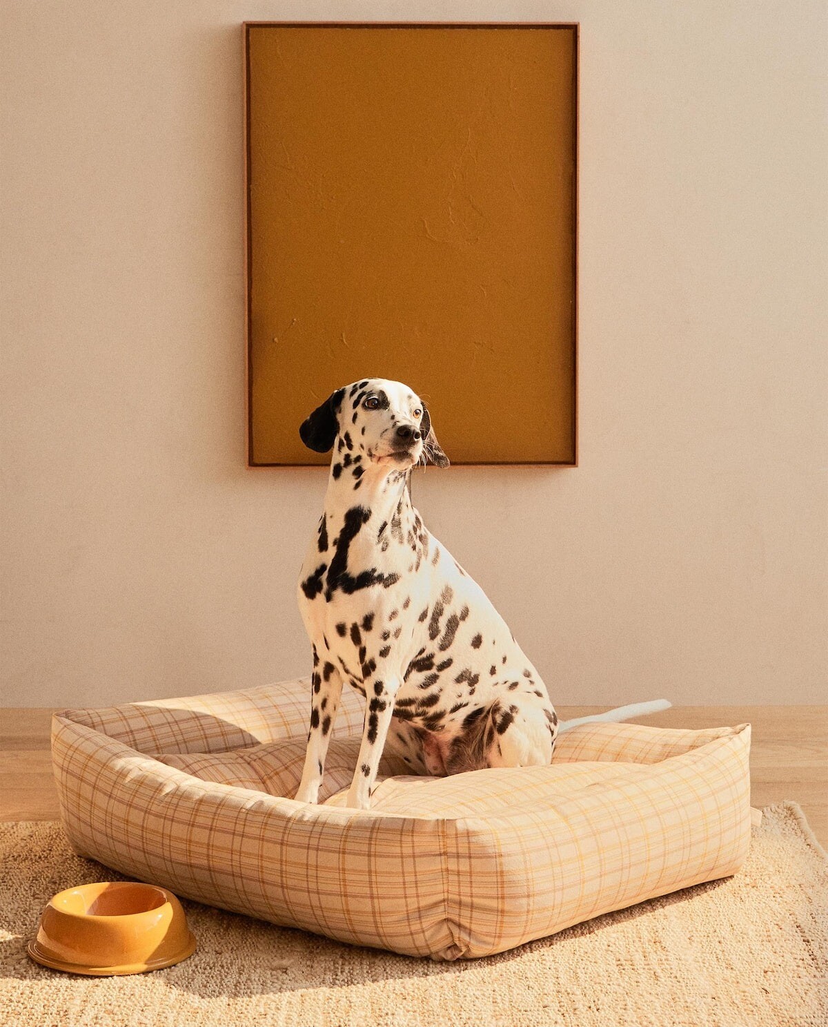 Zara Home sigue apostando por mimar a nuestras mascotas y amplía su ...