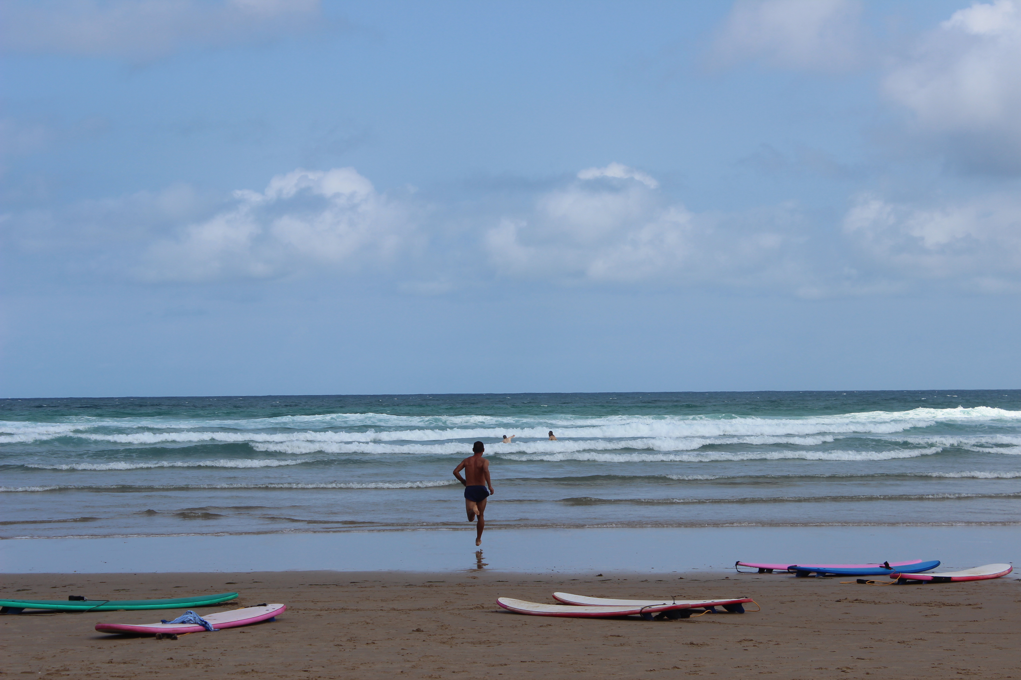 ¿De dónde procede exactamente el olor a playa? La respuesta es escabrosa