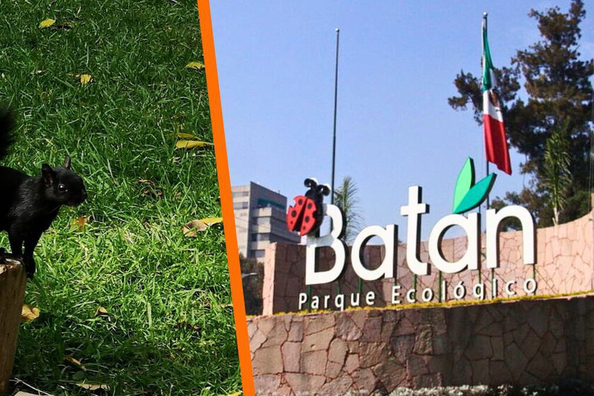 Qué hacer en el Parque El Batán, al sur de la CDMX: hay areneros ...