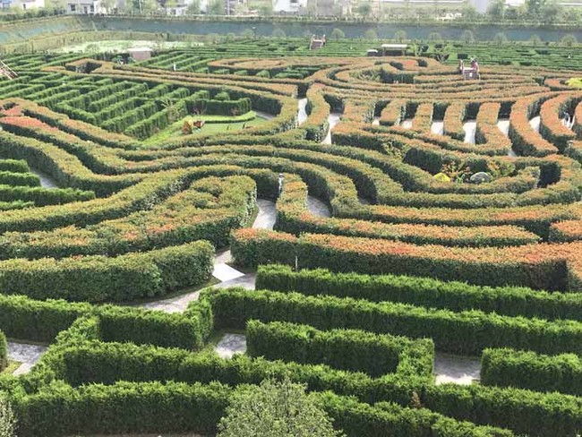 El laberinto más grande del mundo es este colosal jardín en China y ...
