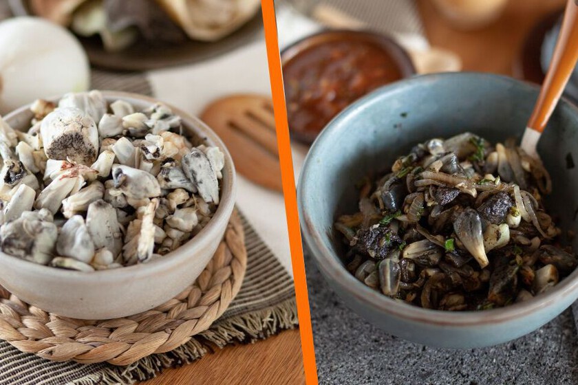 Cinco tipos de hongos y cómo usarlos en la cocina, para disfrutar de su ...