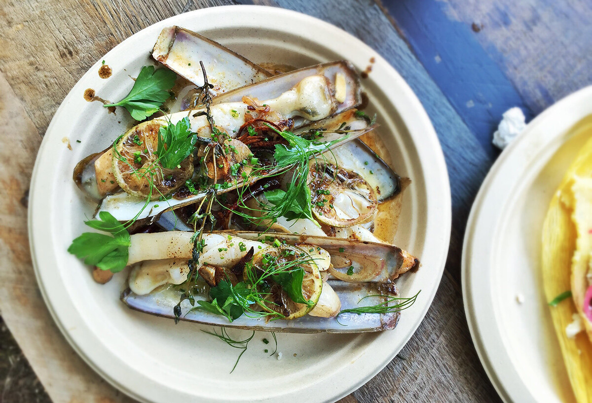 Navajas: uso, propiedades y recetas de este marisco que se consume todo ...