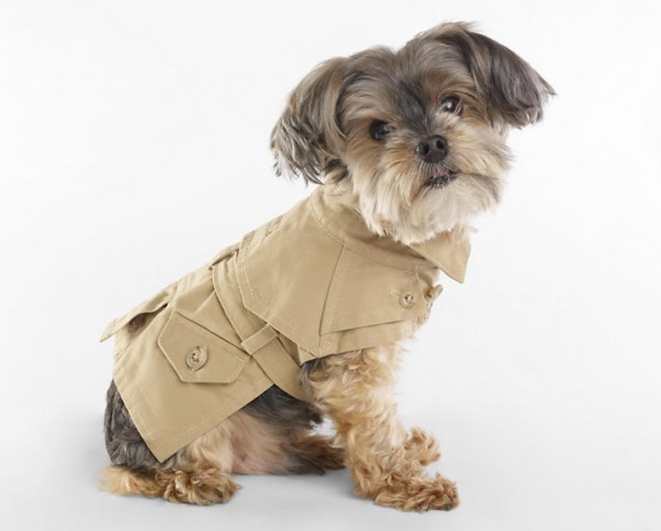 Porque ellos se lo merecen todo: colección canina de Ralph Lauren