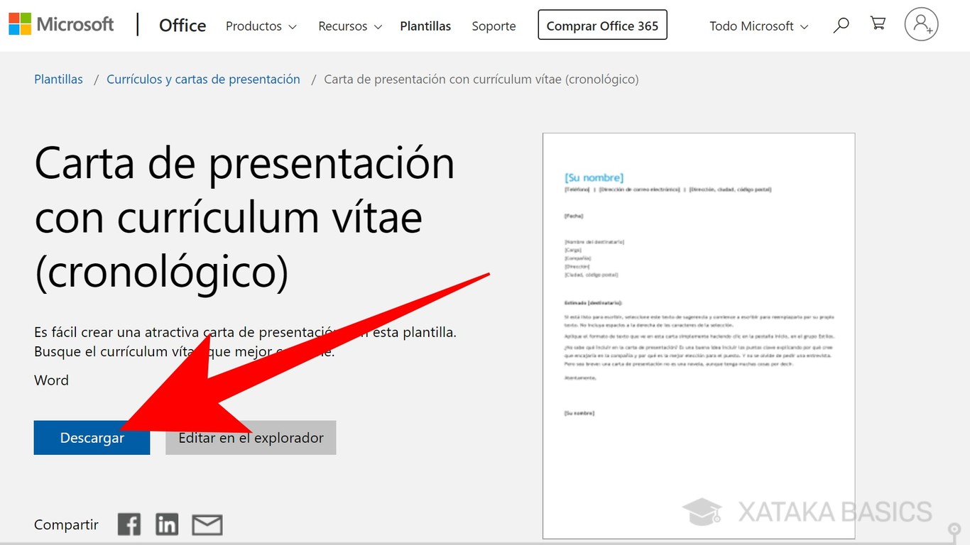 Plantillas de curriculum para Word: cómo encontrarlas y cómo se utilizan