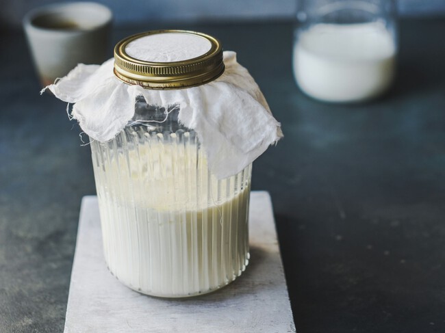 Qué son los búlgaros de leche y cuáles son sus propiedades y beneficios