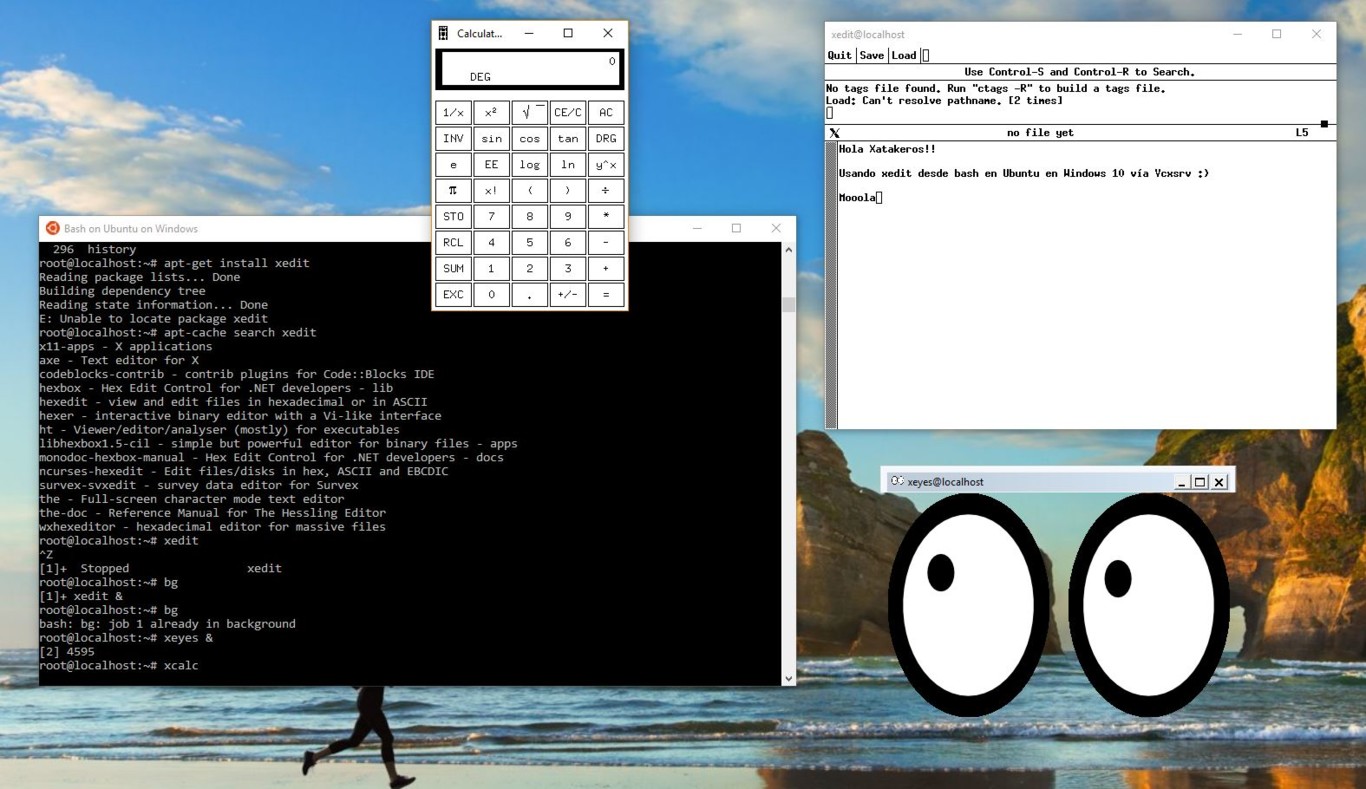 Así Es Usar La Consola Bash De Ubuntu En Windows 10