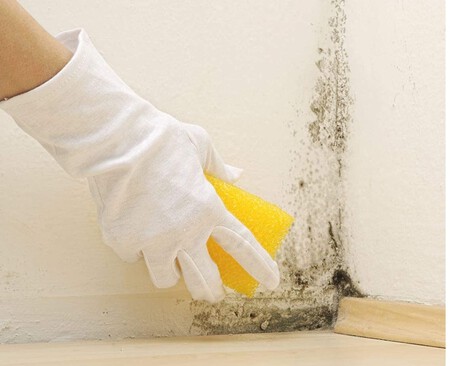 Humedad y moho en casa: ¿cómo eliminarlos? Consejos y recomendaciones
