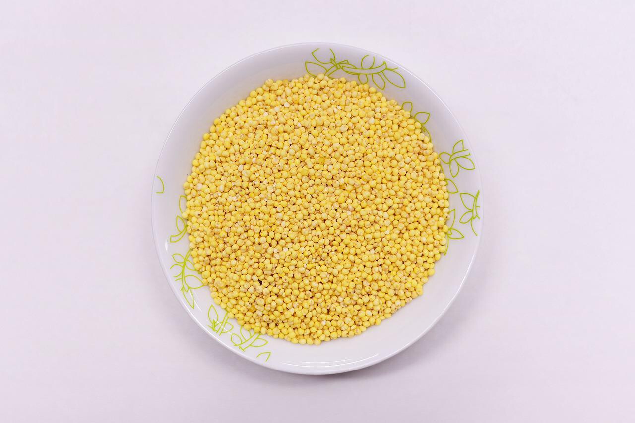 Mijo, un cereal alcalino y extra nutritivo ideal para celíacos: qué es ...
