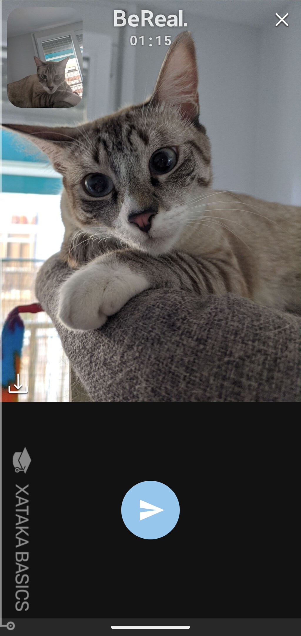 Qué es BeReal y cómo funciona esta red social basada en la espontaneidad