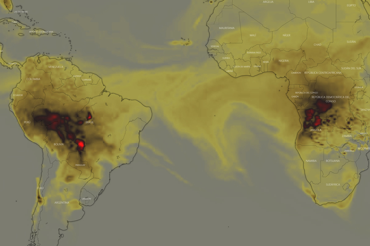 El impacto medioambiental de los incendios del Amazonas, explicado en ...