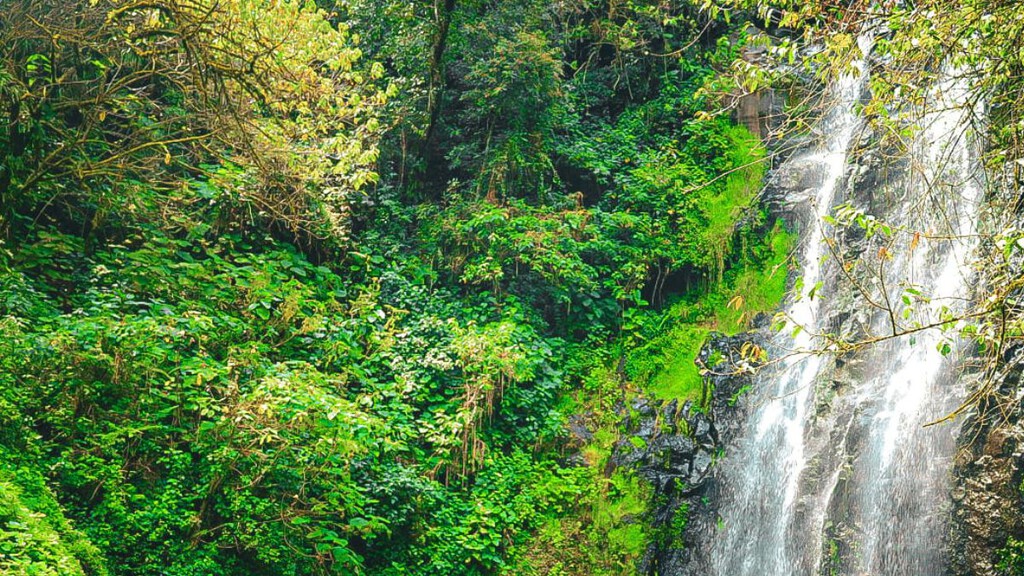 Este es el destino cerca de CDMX donde puedes disfrutar de una cascada ...