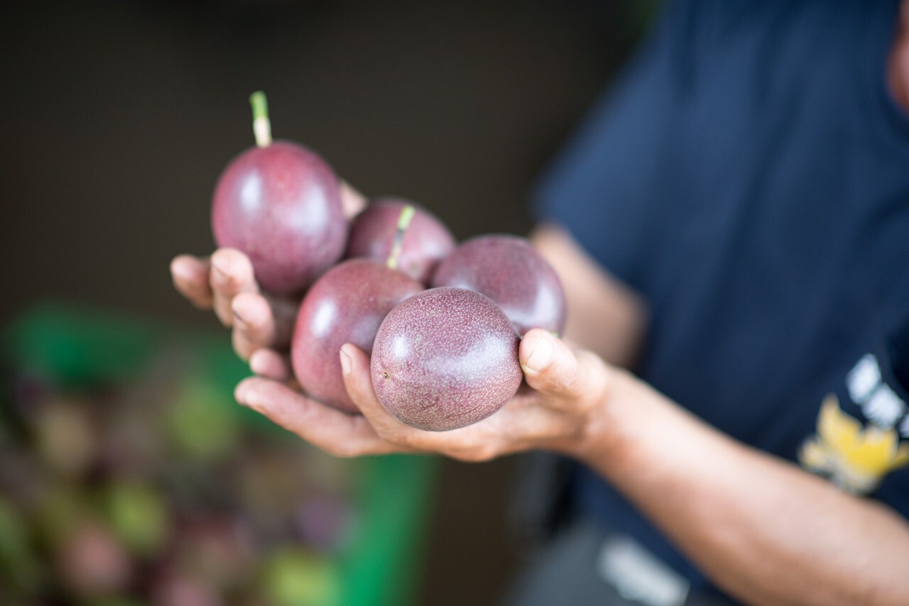 Fruta de la pasión o maracuyá, el fruto tropical de gelatinosa y dulce ...