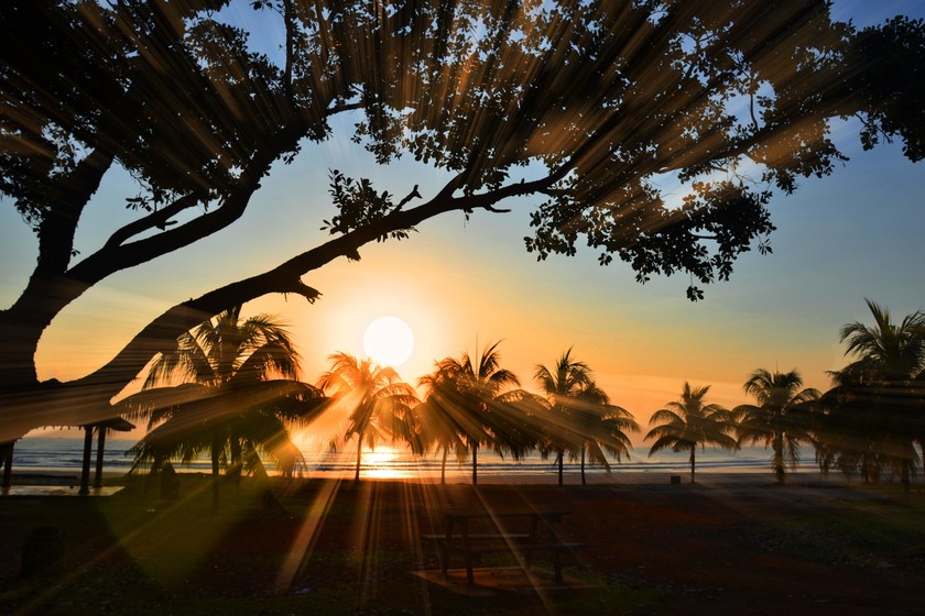 El verano ya llegó y suena así de bien