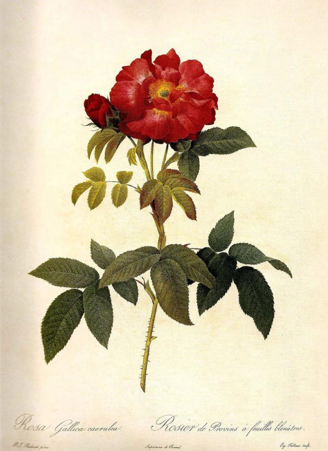 Ya es primavera: 10 originales ideas de como poner flores en tu hogar