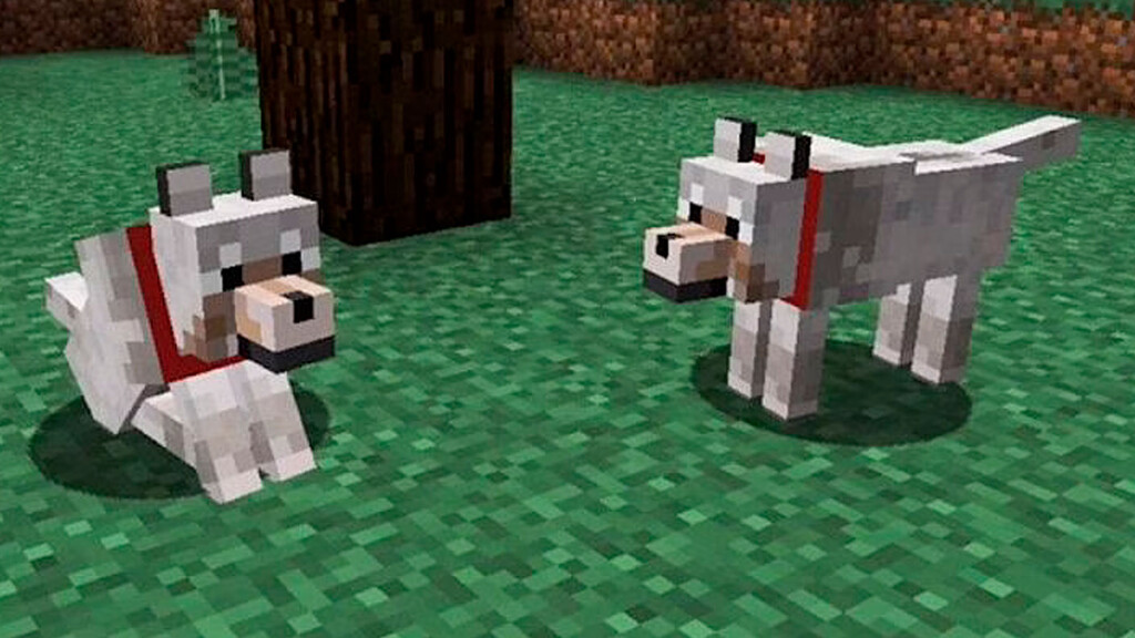 Mascotas en Minecraft: cómo domesticar gatos, perros y lobos, y qué ...