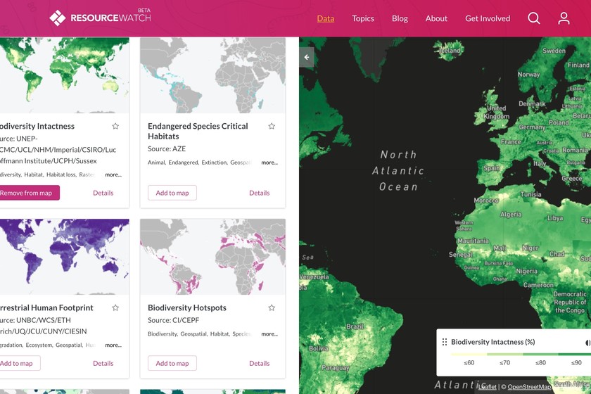 Resource Watch: más de 200 mapas interactivos para conocer los recursos ...