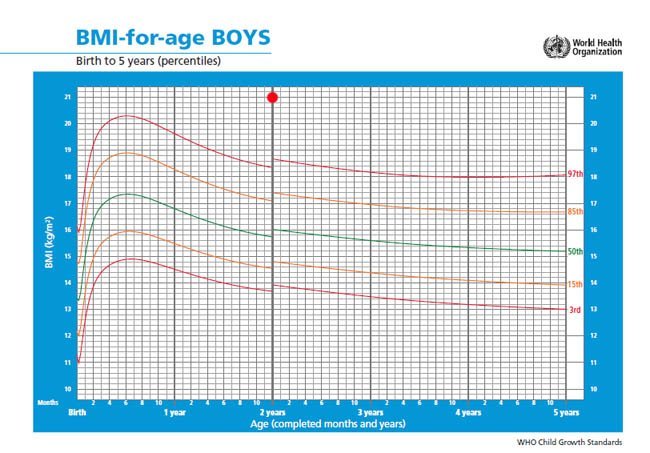 Obesidad Infantil Cómo Calcular El Imc De Los Niños Y Valorarlo En