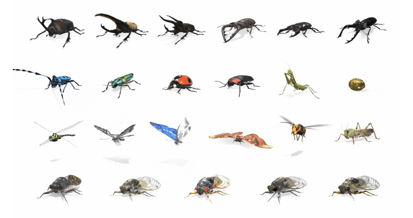 Google añade a los resultados de búsqueda insectos en 3D y realidad ...