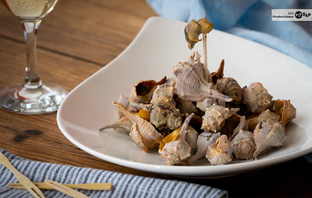 Receta de cañaillas: cómo cocer, limpiar, comer y cuánto tiempo ...