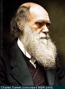 Nuevo descubrimiento apoya la teoría de Darwin de la evolución