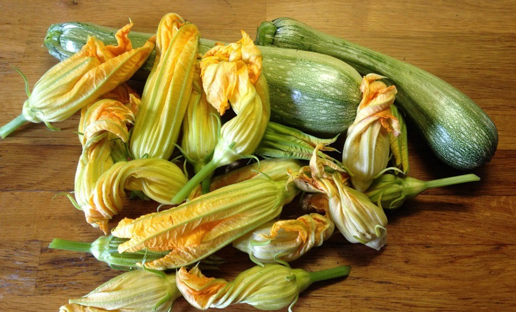 Guía rápida de las flores comestibles de la A a la Z