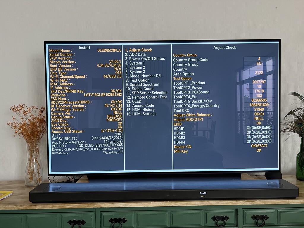 Cómo acceder al menú secreto de tu Smart TV LG desde el navegador web ...