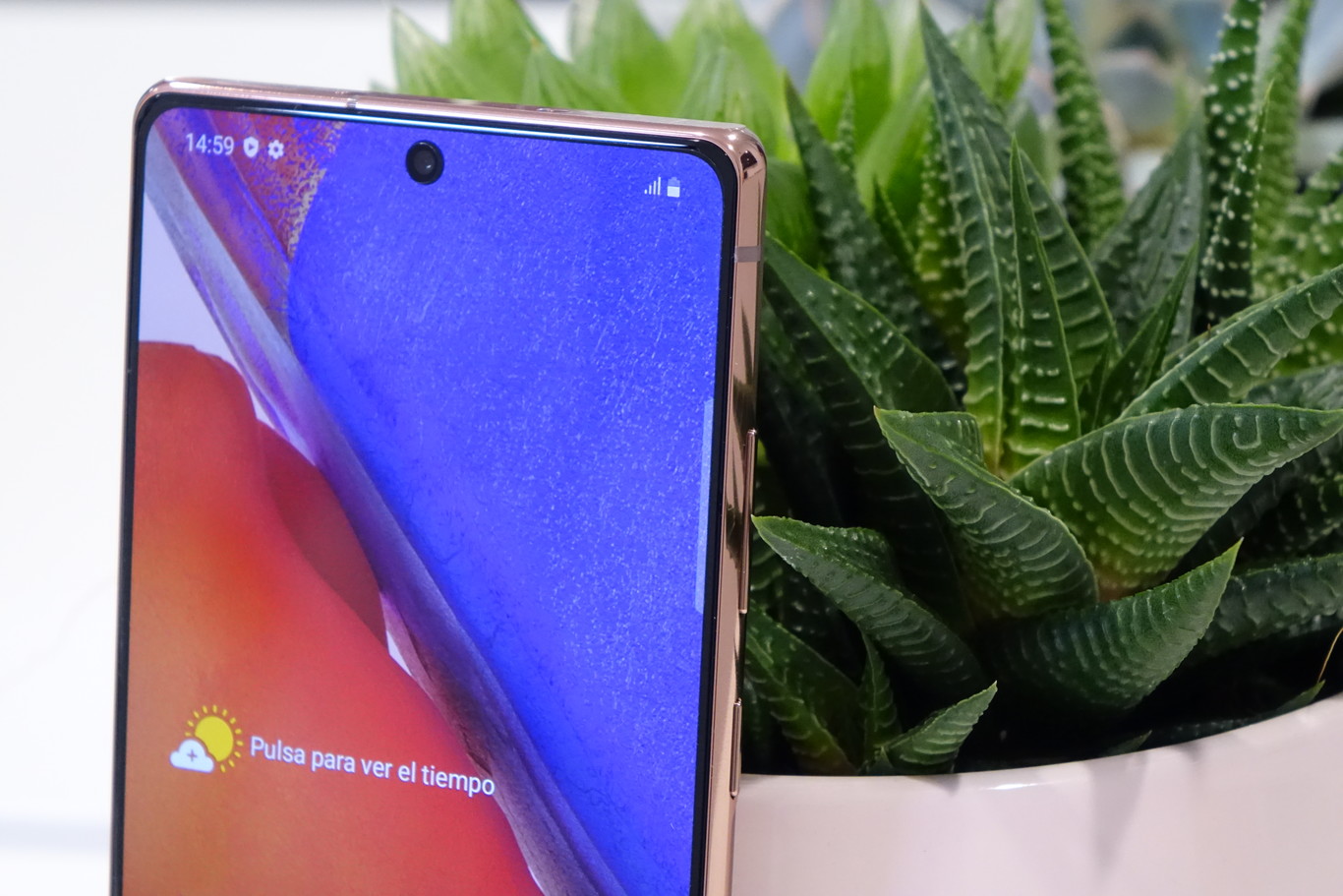 Samsung Galaxy Note 20 vs Note 20 Ultra vs Note 10 vs Note 10 Plus ...