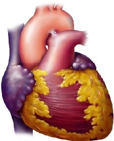 Problemas cardiovasculares vinculados a la contaminación