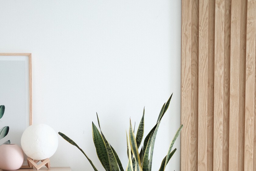 Leroy Merlin causa furor con el macetero más versátil disponible en ...