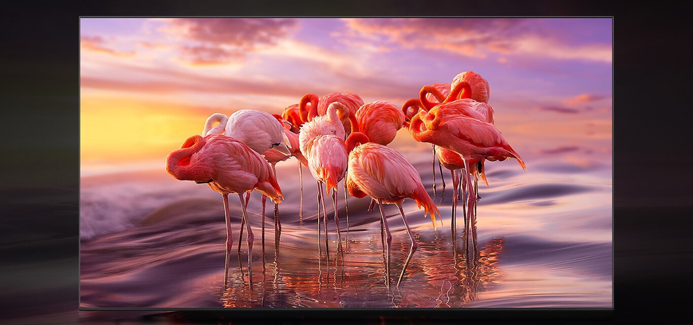 Los televisores 4K con mejor relación calidad precio: ¿cuál comprar ...