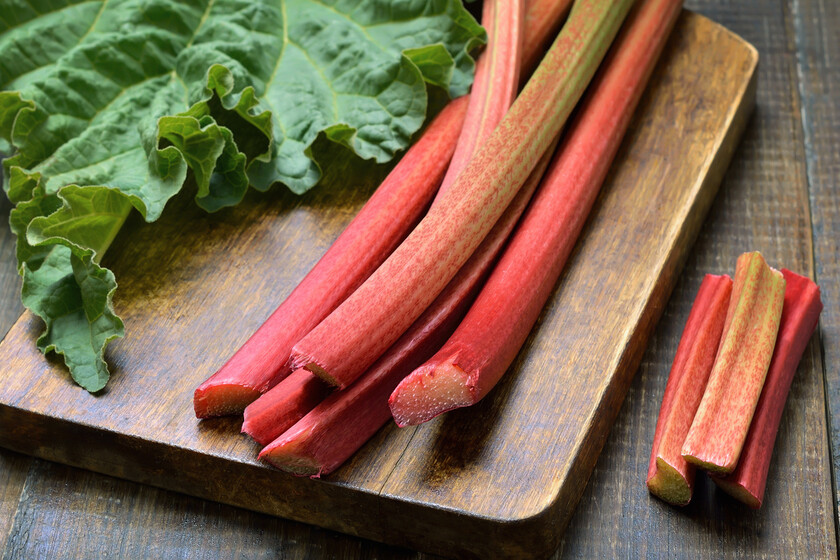 El ruibarbo, qué es y para que se utiliza