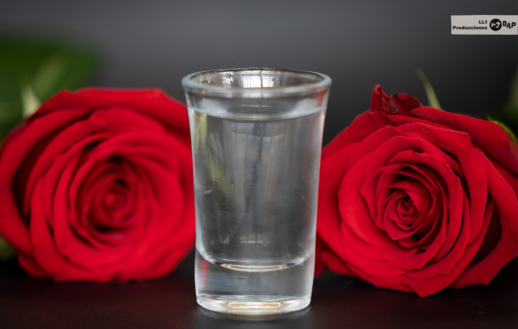 Cómo hacer agua de rosas casera: receta de cocina fácil y rápida para ...