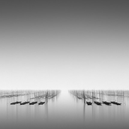 Michael Levin: La sencillez del paisaje convertida en arte