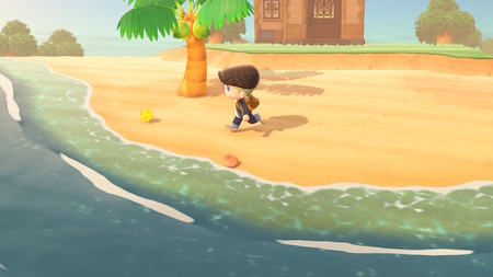 Animal Crossing New Horizons: estrellas fugaces, cómo obtener ...