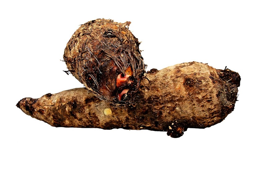 Qué es la malanga o taro y cómo utilizar este tubérculo en la cocina