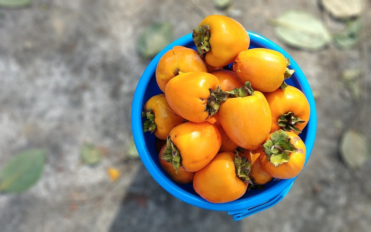 Alimentos de invierno: las 17 mejores frutas y verduras de temporada ...