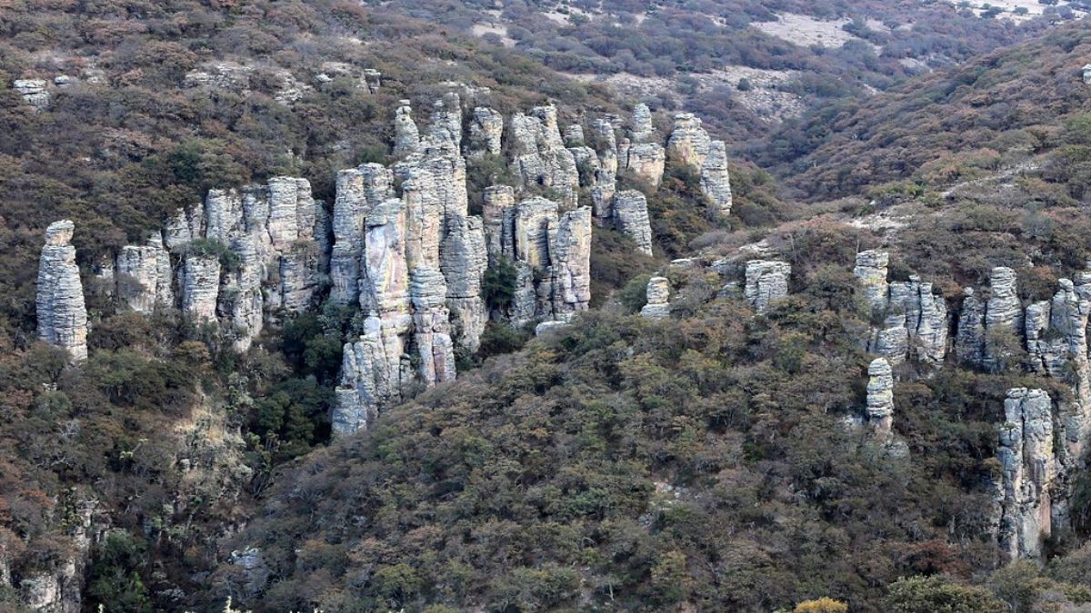 Los Panales: los manantiales secretos de Guanajuato ideales para una ...