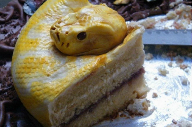 Snake Cake, un pastel terriblemente realista
