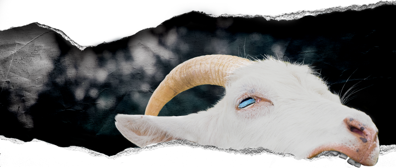 El nuevo DLC de Payday 2 es... ¿Un crossover con Goat Simulator?