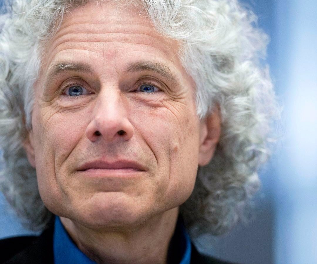 La cultura de la cancelación llega a Steven Pinker: por estos tuits ...