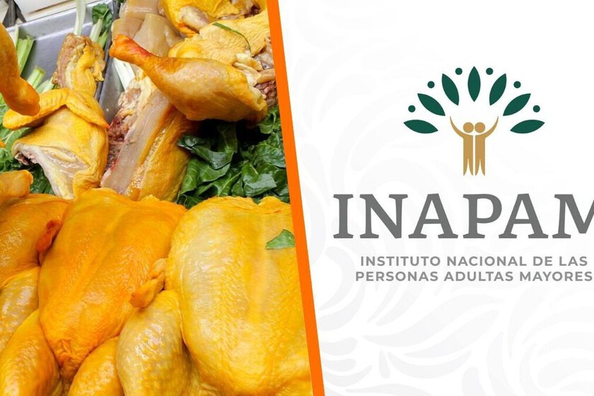 Adultos mayores con credencial INAPAM: conoce cuáles son las pollerías ...