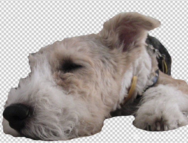 Cómo vectorizar una imagen