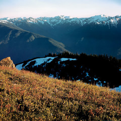 Ansel Adams In Color: la fotografía a color de uno de los genios del ...