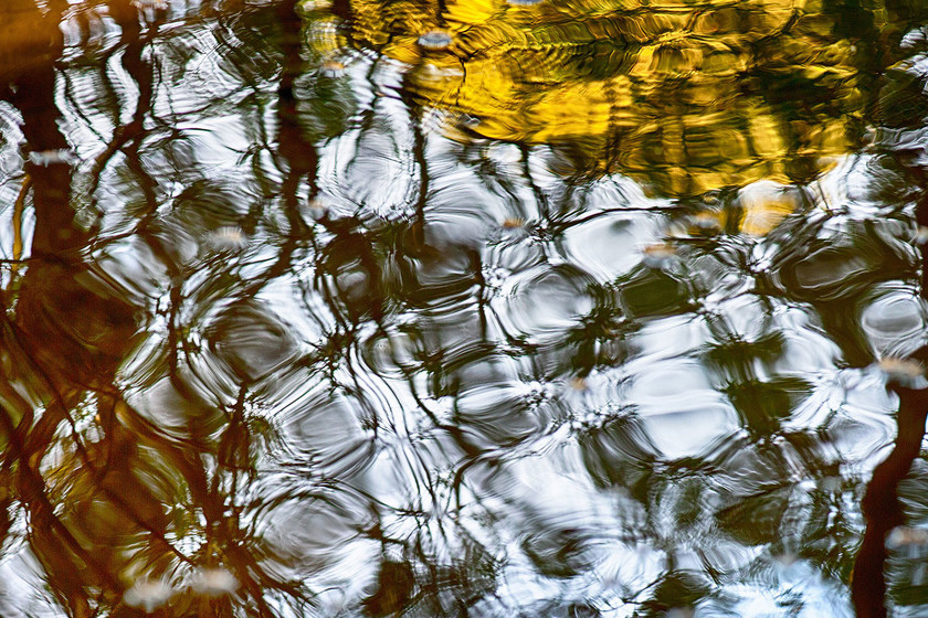 Bruce hall el fotógrafo ciego