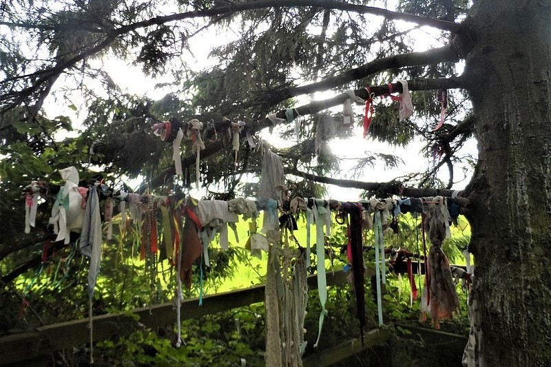 Clottie Wells: ¿por qué hay ropa colgada en algunos bosques?