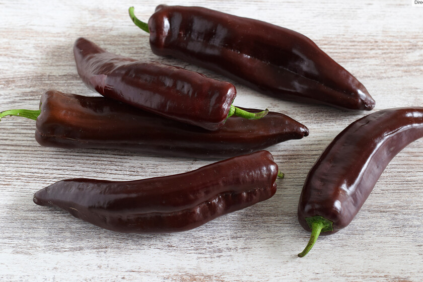Probamos Sweet Palermo Chocolate, el nuevo pimiento que destaca por su ...