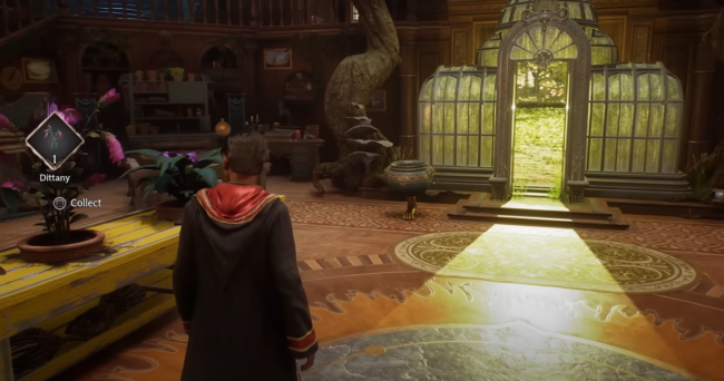 Hogwarts Legacy - Cómo acceder a la Sala de los Menesteres y qué hacer ...